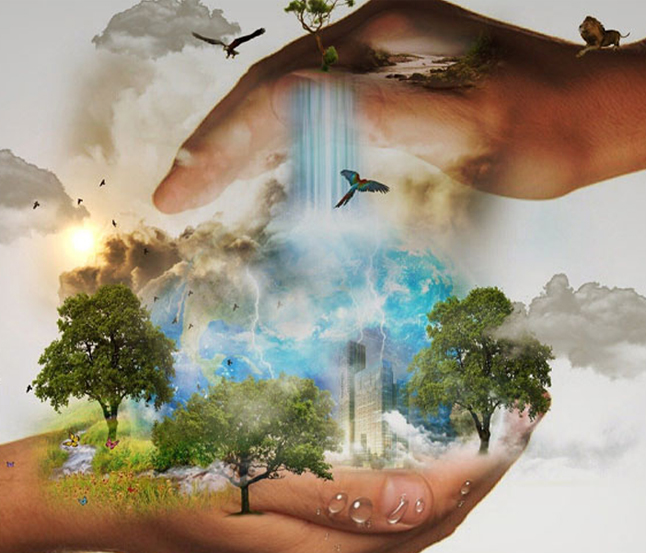 best-Cultures-Offered-probiotic-exporters-india – Biolush: Leading ...