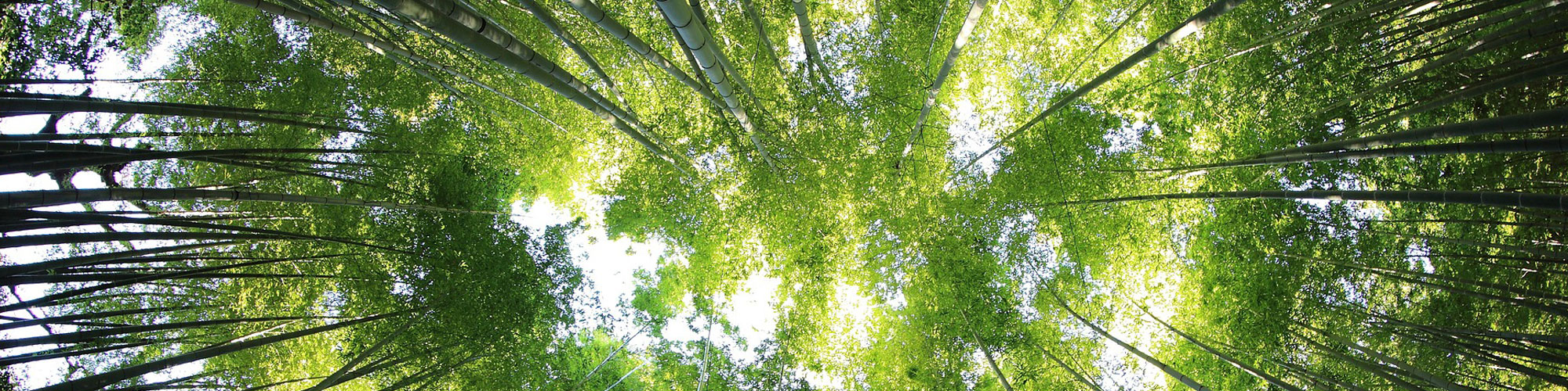 environment-probiotics – Biolush: Leading manufacturer of high-quality ...